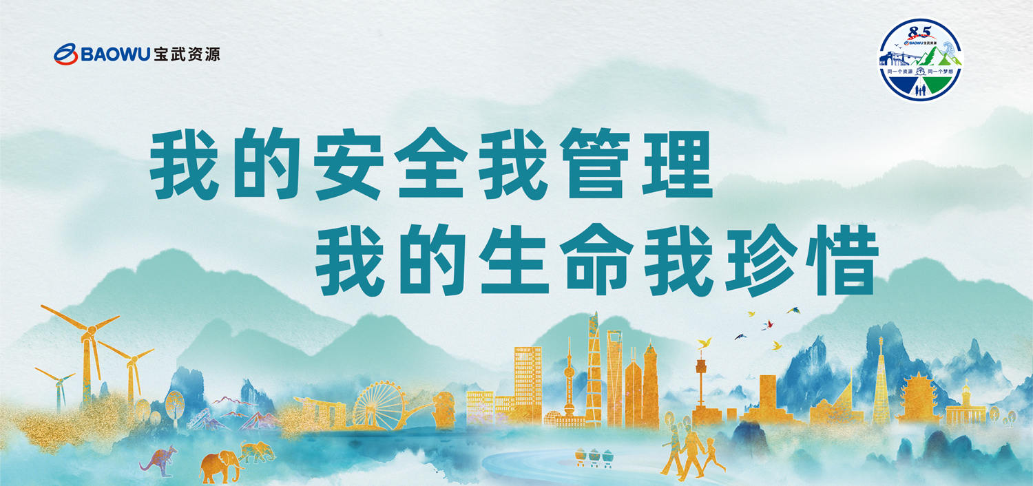 Baowu Resources Co., Ltd